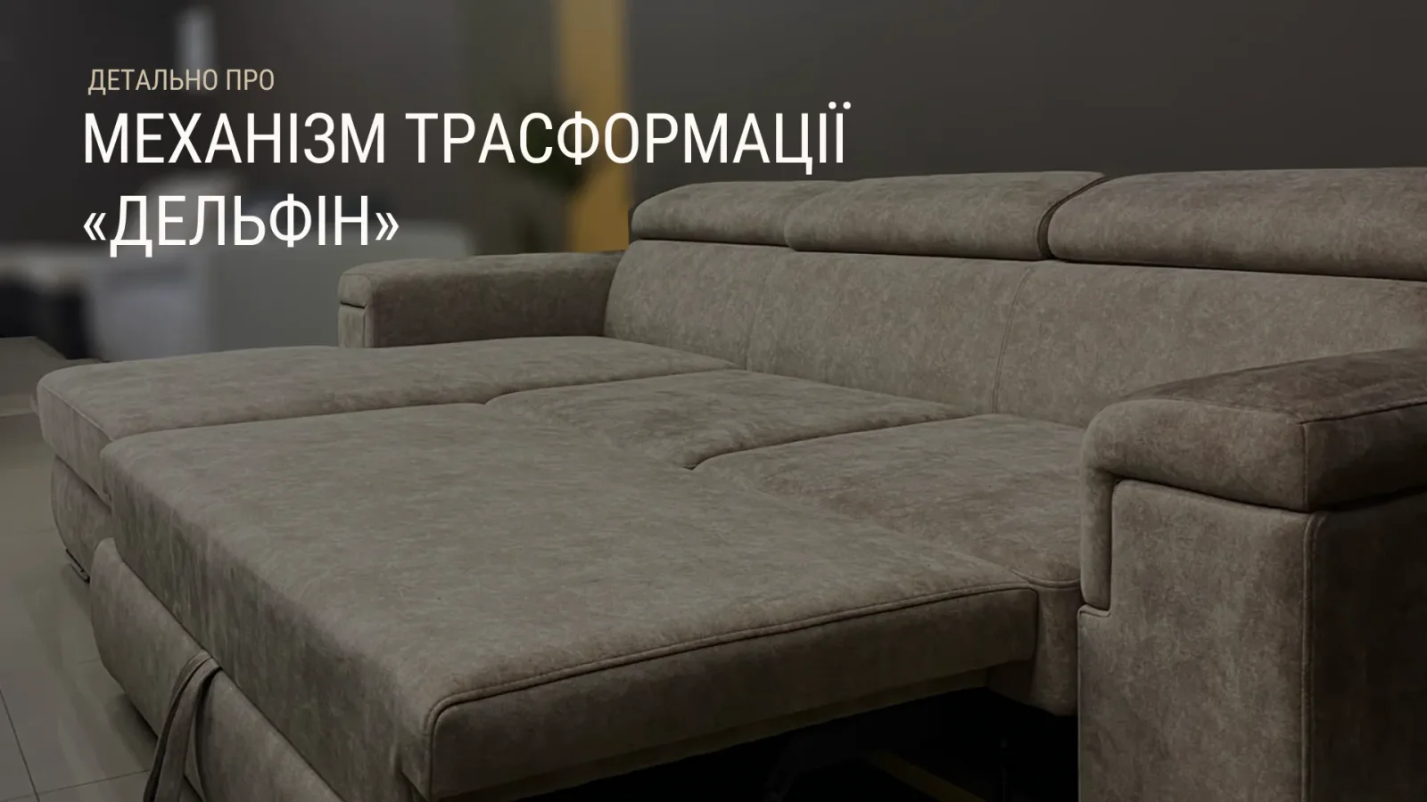 Transformacijos mechanizmas „Delfinas“ - Frankof.lt